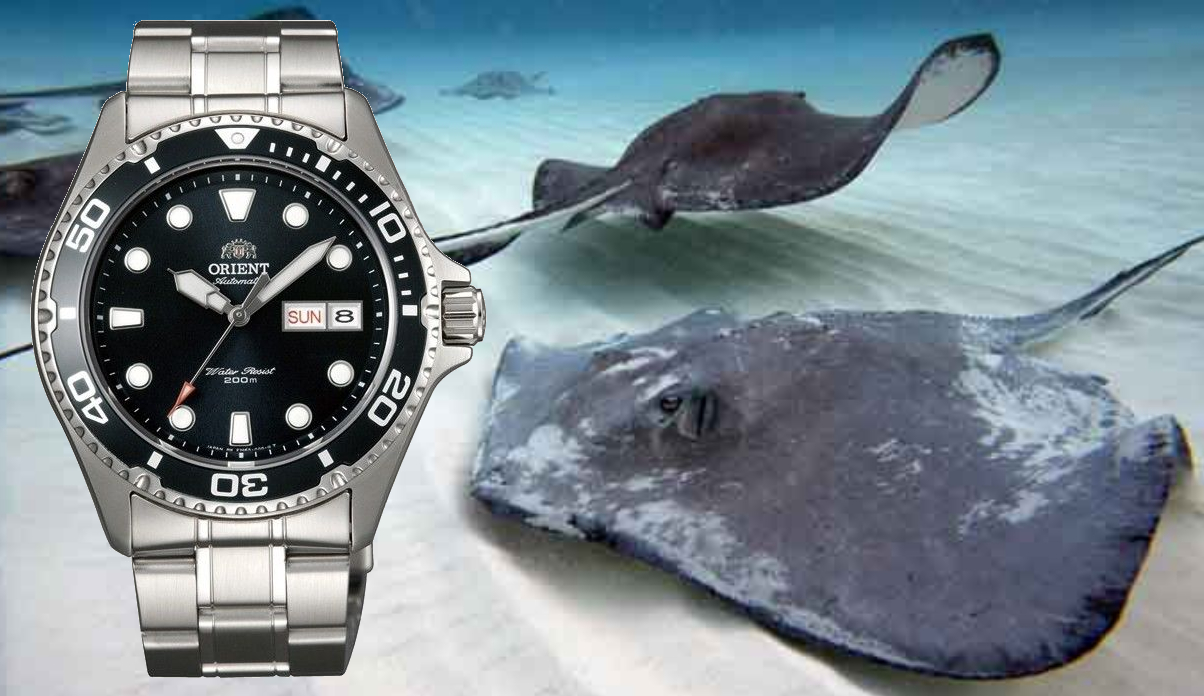 Kultovní potápky od Orientu – Jak se v nich vyznat?